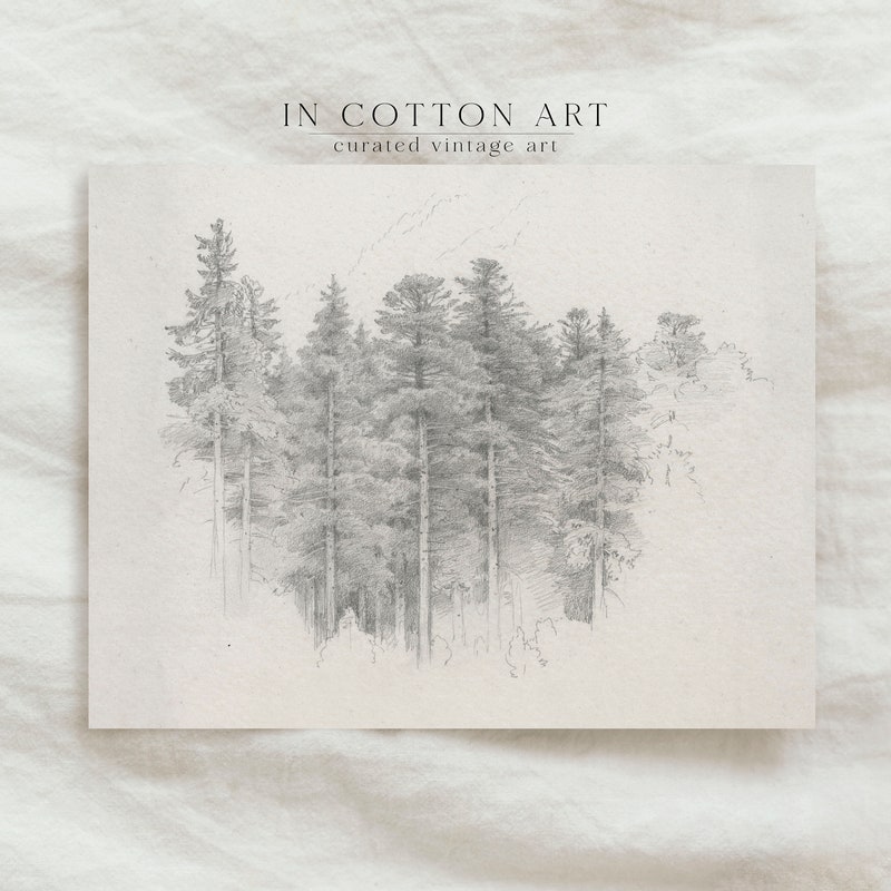 Tree Drawing Digital Art - Etsy