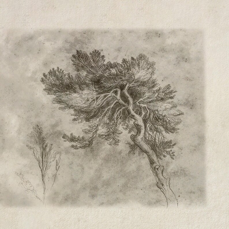 Vintage Tree Drawing PRINTABLE / Neutral Rustic Sketch Print / - Etsy