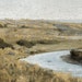 Vintage Tonal Landscape Oil Painting PRINTABLE / Farmhouse - Etsy
