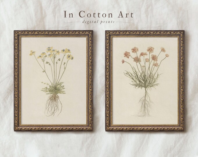 Vintage Wildflower Botanical Illustrations Set of 2 Natural History ...