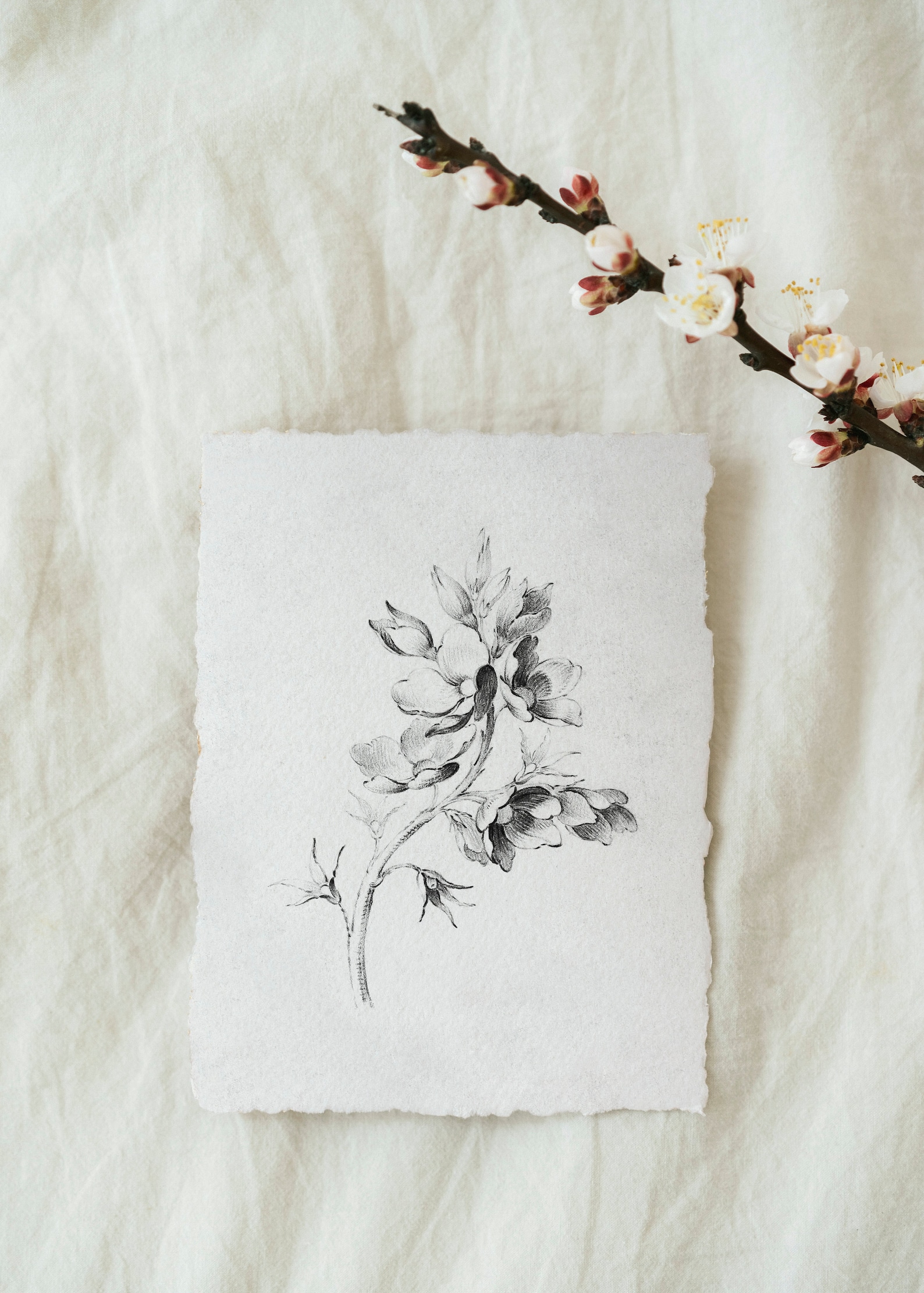 Vintage Sketch Art Printable Minimalist Antique Drawing | Etsy