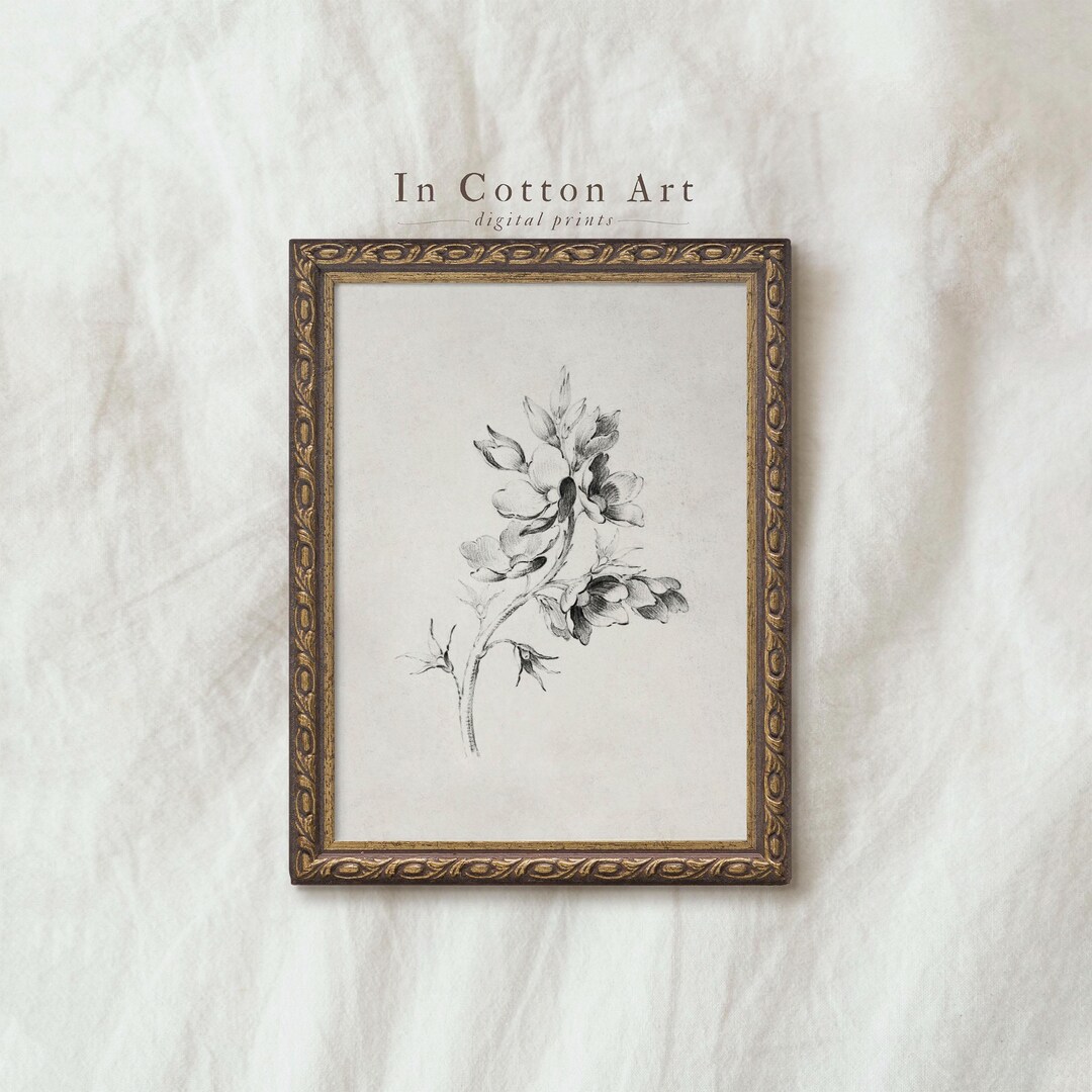 Vintage Sketch Art Printable, Minimalist Antique Drawing, Farmhouse ...