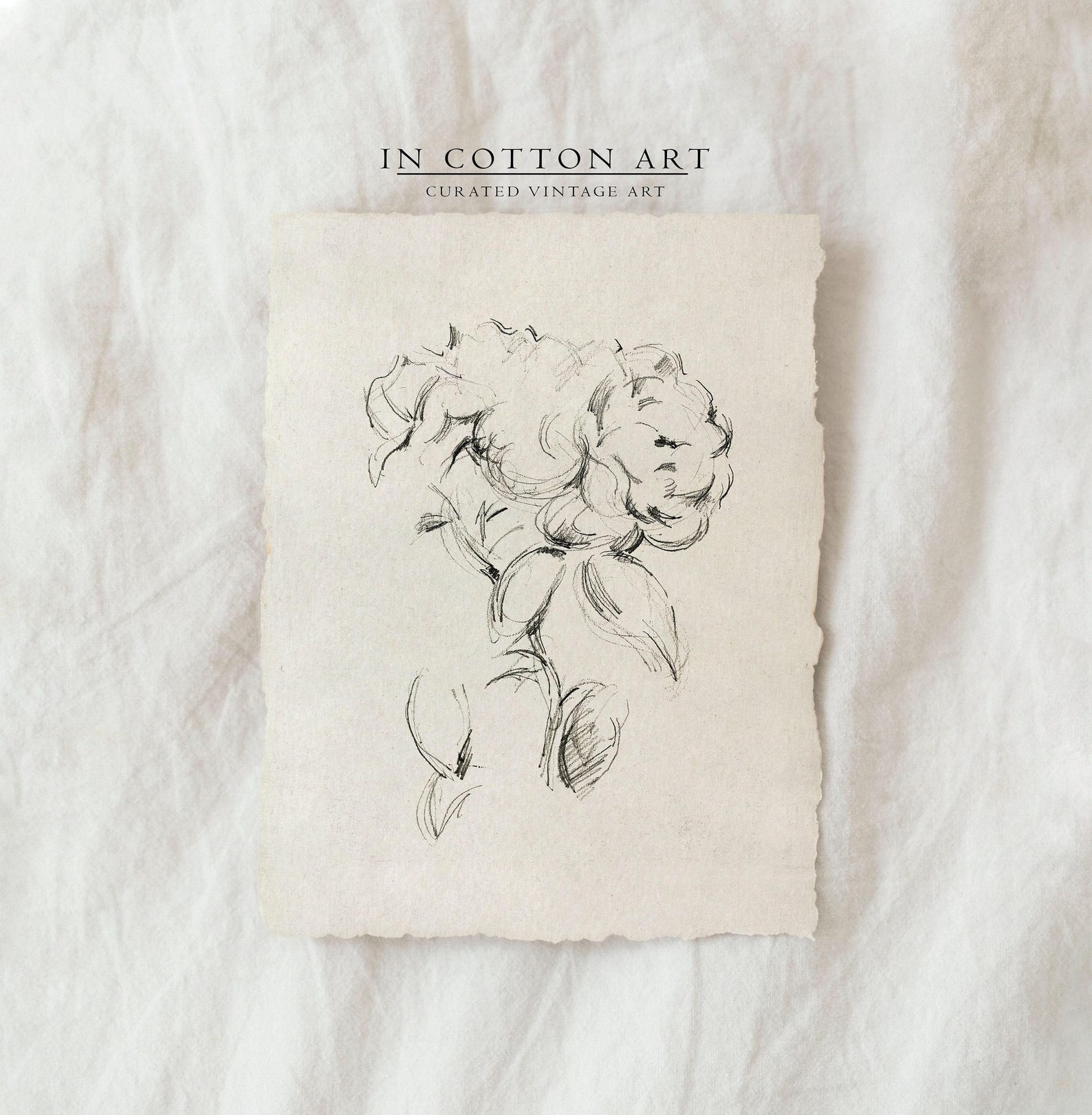 Minimalist Neutral Botanical Drawing / Antique Flower Sketch Print ...