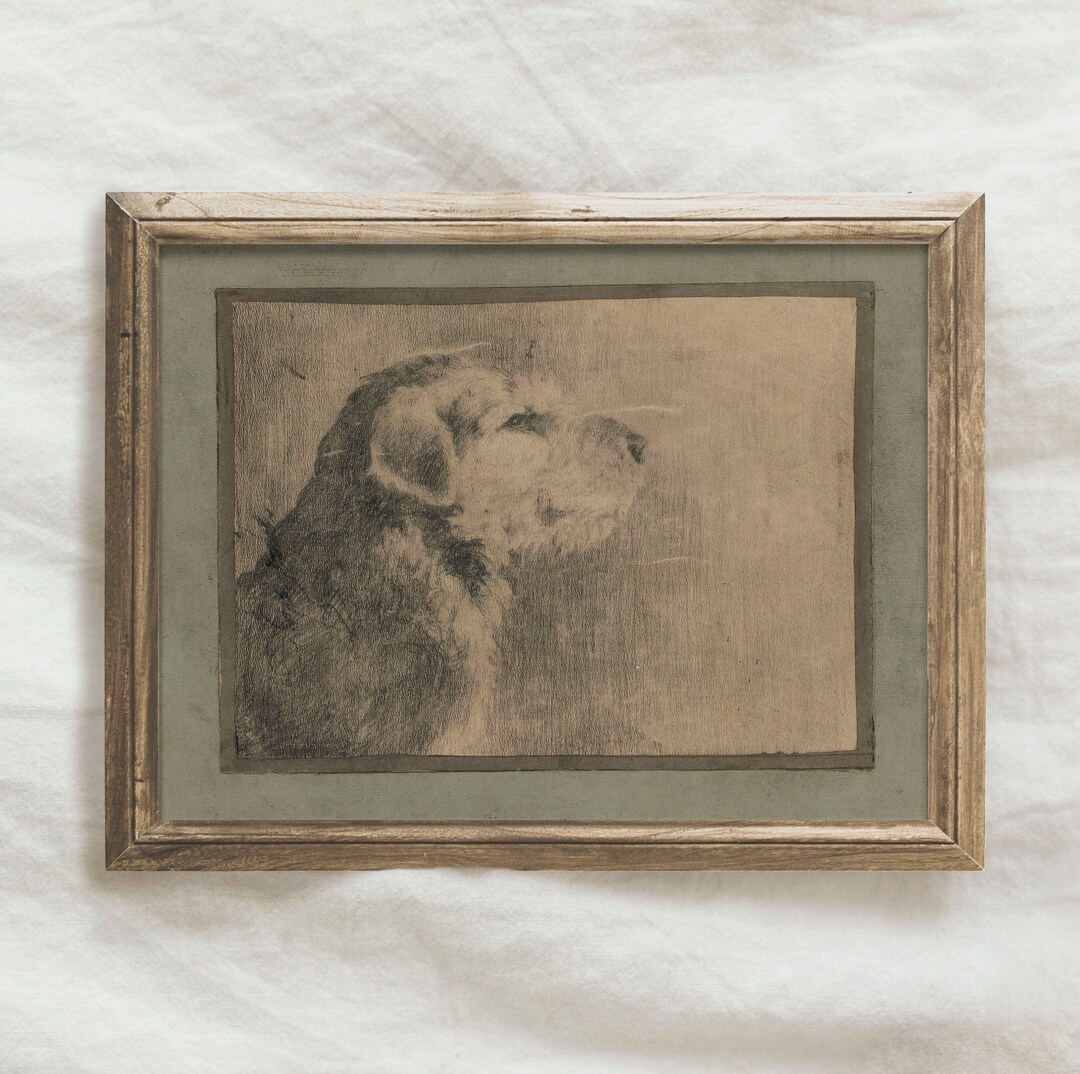 Vintage Dog Drawing PRINTABLE / Antique Puppy Sketch Art Print - Etsy