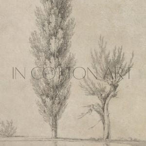 Vintage Beige Tree Drawing Digital Download / Antique Neutral Sketch ...