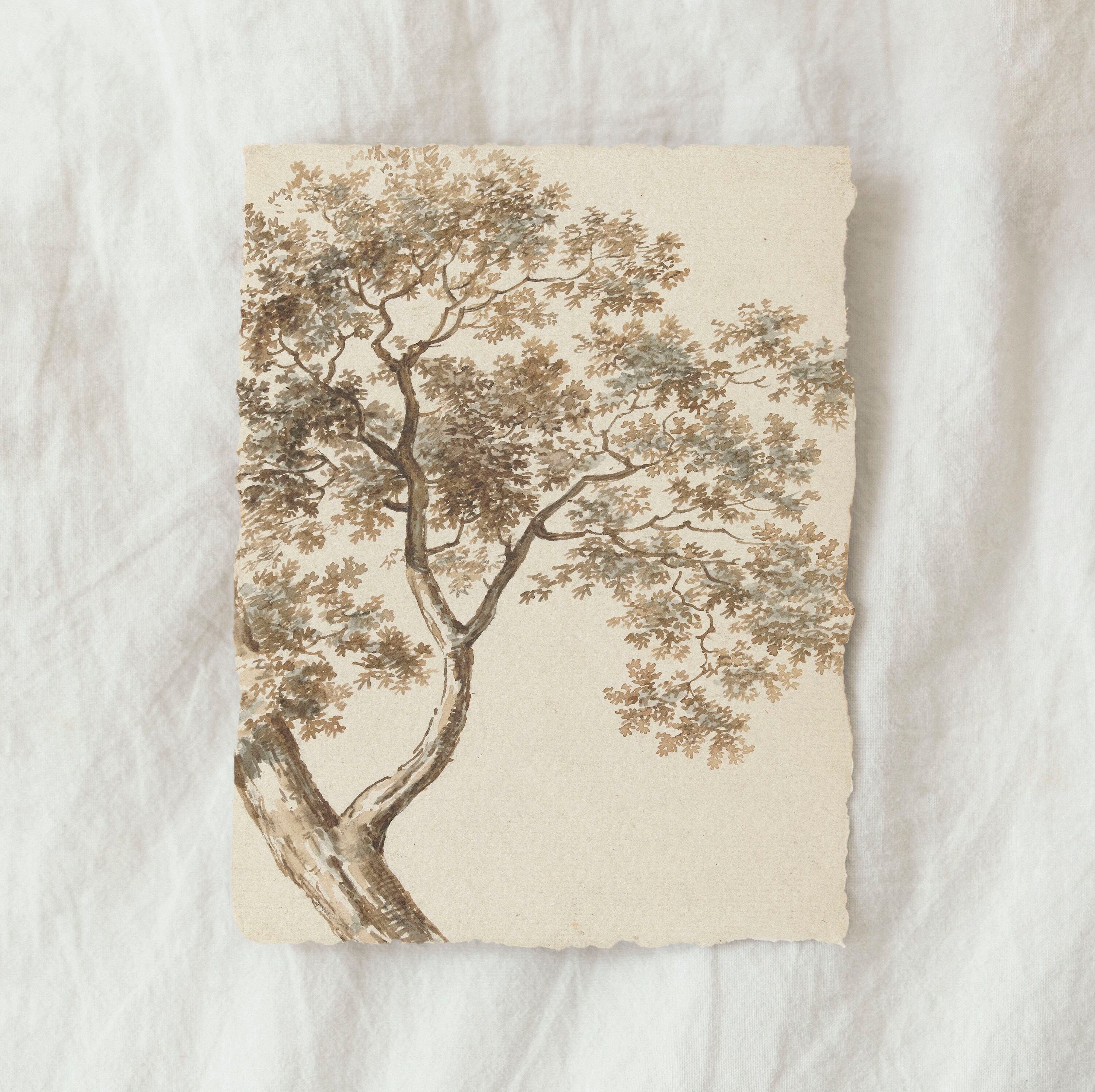 Vintage Rustic Tree Drawing PRINTABLE / Antique Nature Sketch - Etsy ...