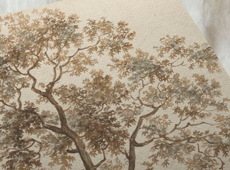 Vintage Rustic Tree Drawing PRINTABLE / Antique Nature Sketch - Etsy ...