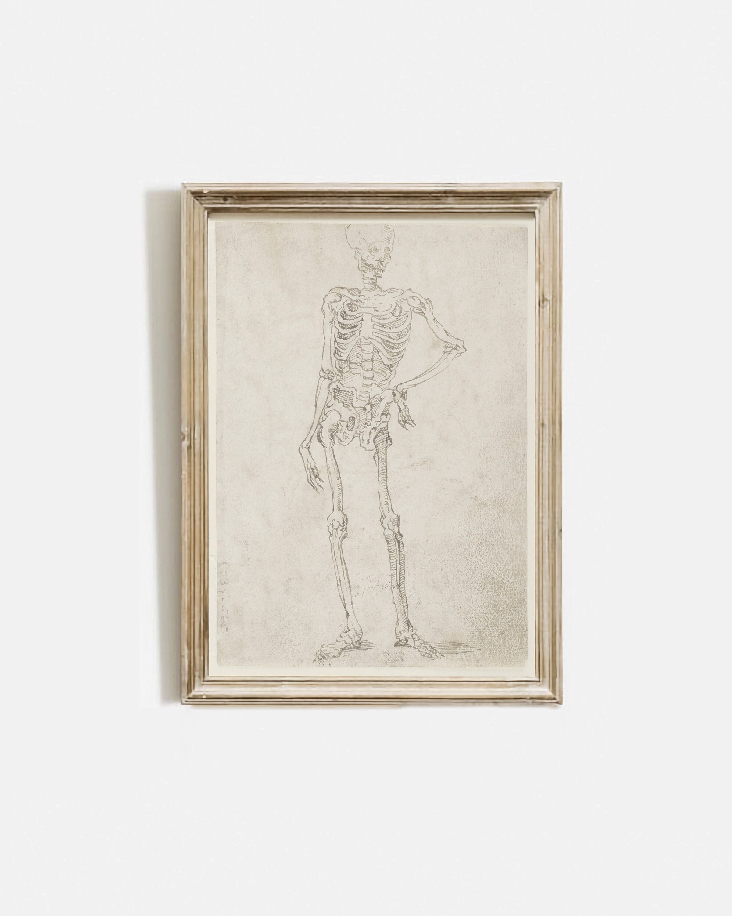 Printable Human Skeleton Sketch / Neutral Halloween Print / | Etsy