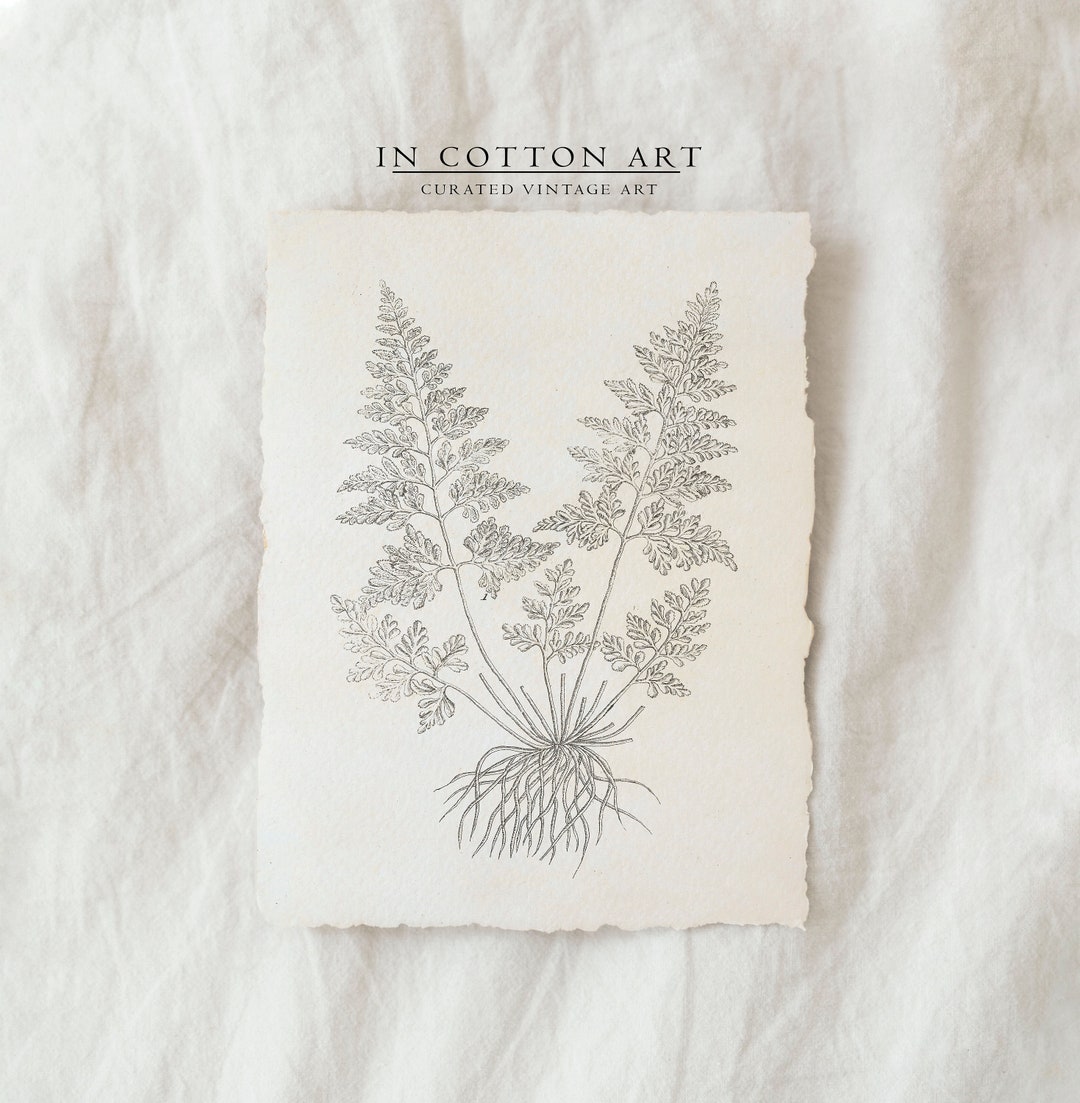Antique Branch Drawing / Vintage Fern Sketch Print / Minimalist Neutral ...