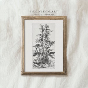 Winter Pine Tree Drawing / Holiday Tree Art Print PRINTABLE / Christmas ...