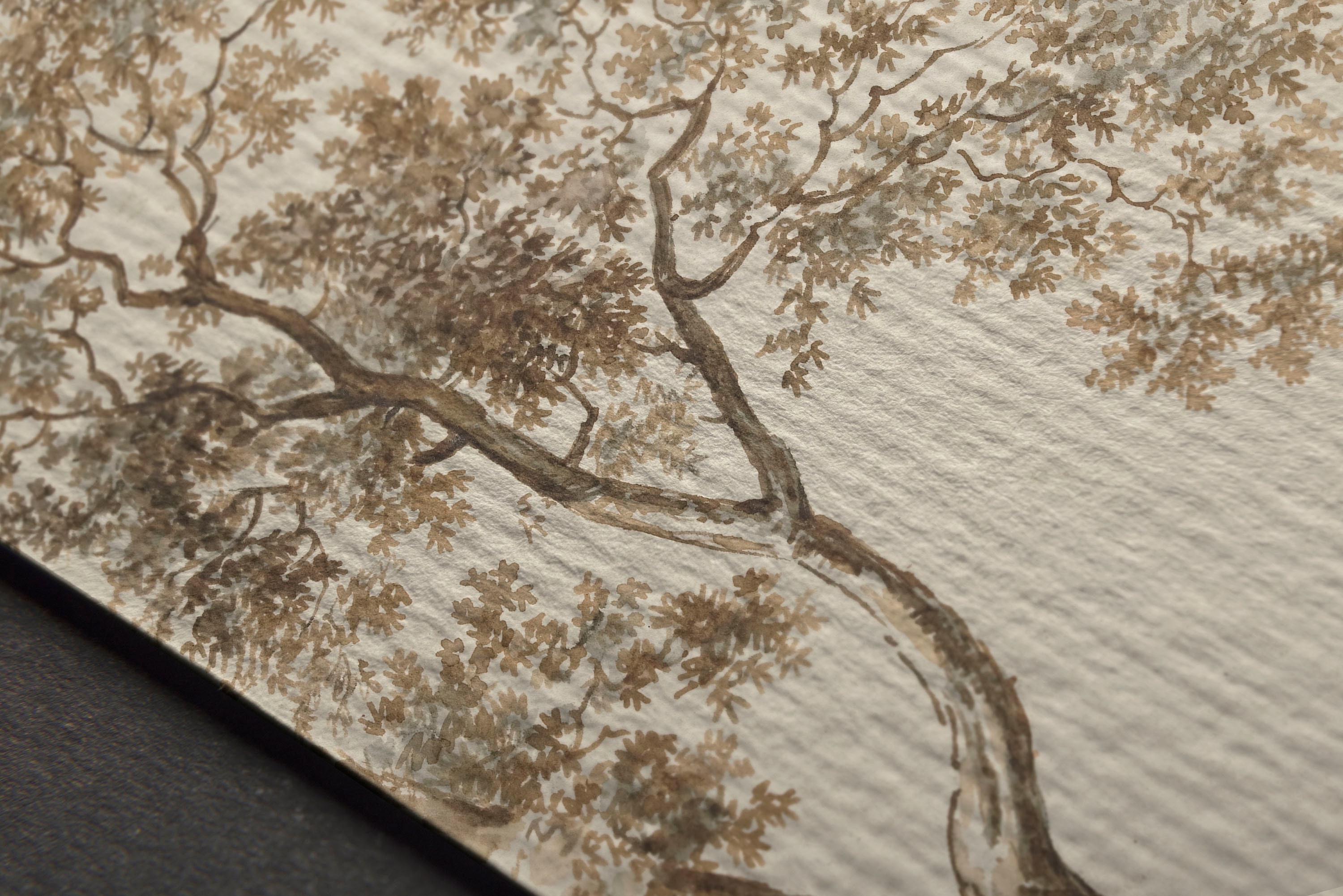 Vintage Rustic Tree Drawing PRINTABLE / Antique Nature Sketch - Etsy ...