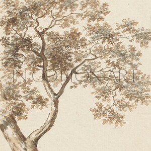 Vintage Rustic Tree Drawing PRINTABLE / Antique Nature Sketch Art ...