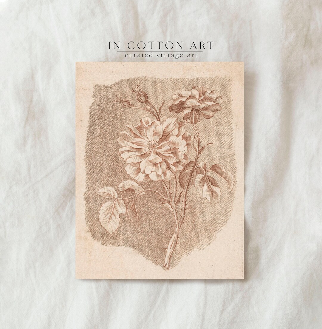 Red Flower Etching Art Print / Vintage Botanical Sketch PRINTABLE / Floral Nursery Wall Decor ...