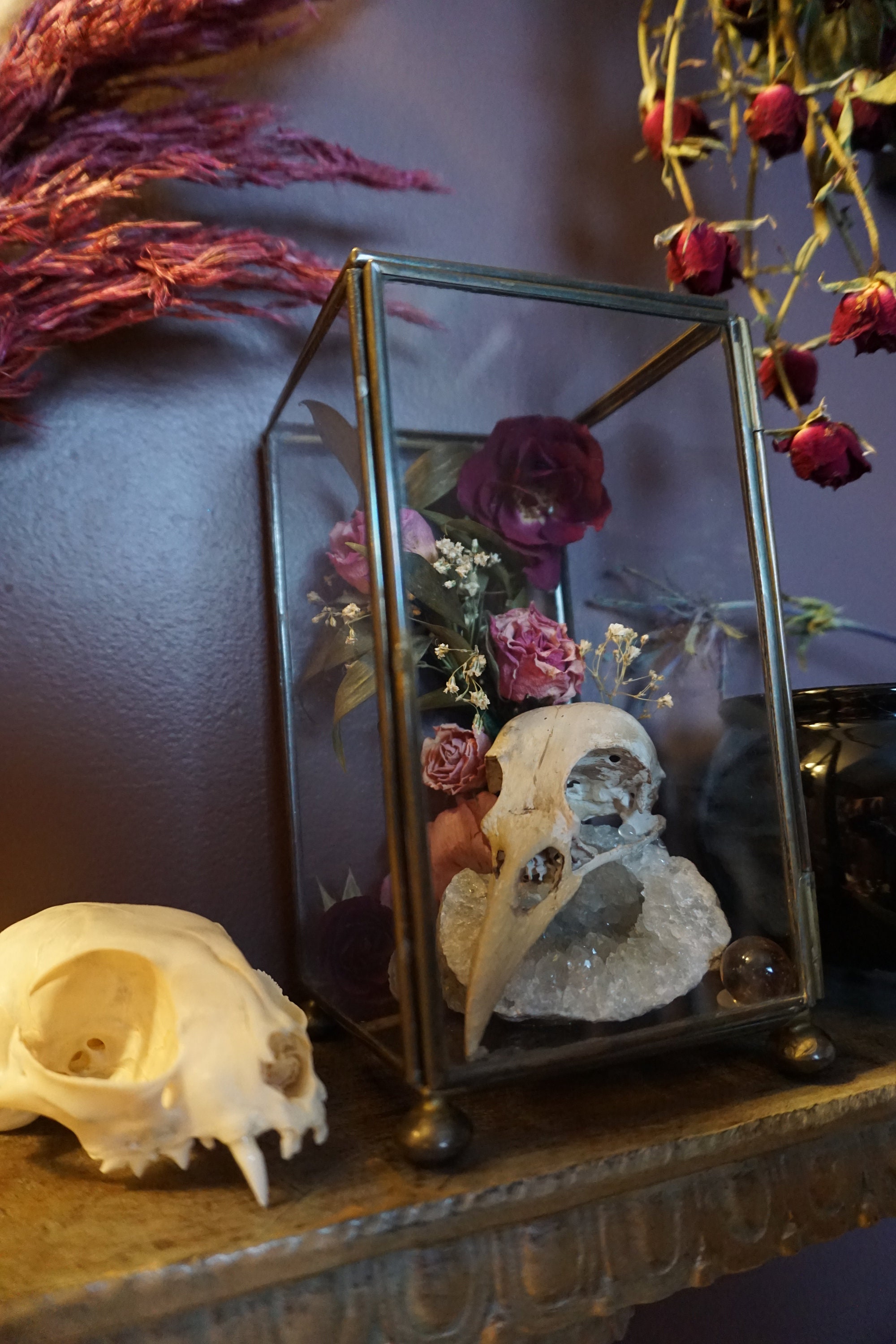 Faux Crow Skull & Dried Florals Box (local Pickup/delivery Only) - Etsy