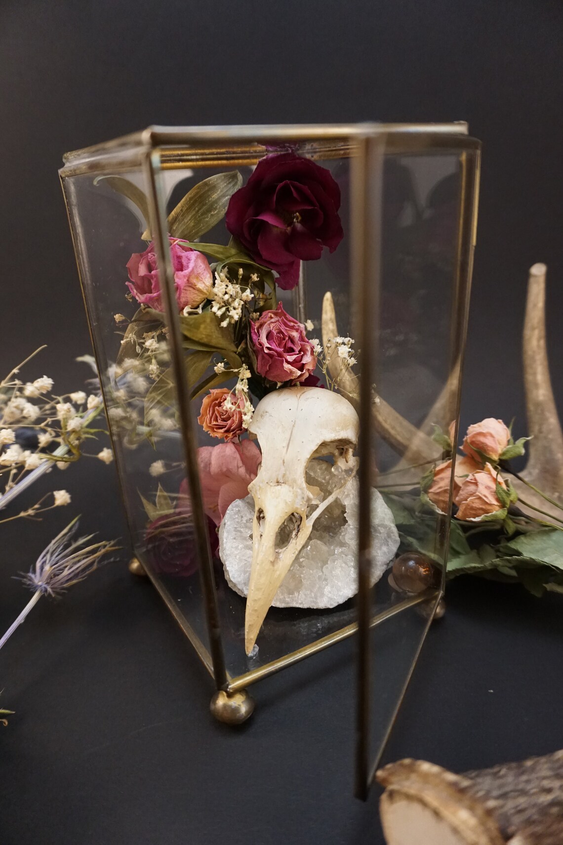 Faux Crow Skull & Dried Florals Box (local Pickup/delivery Only) - Etsy