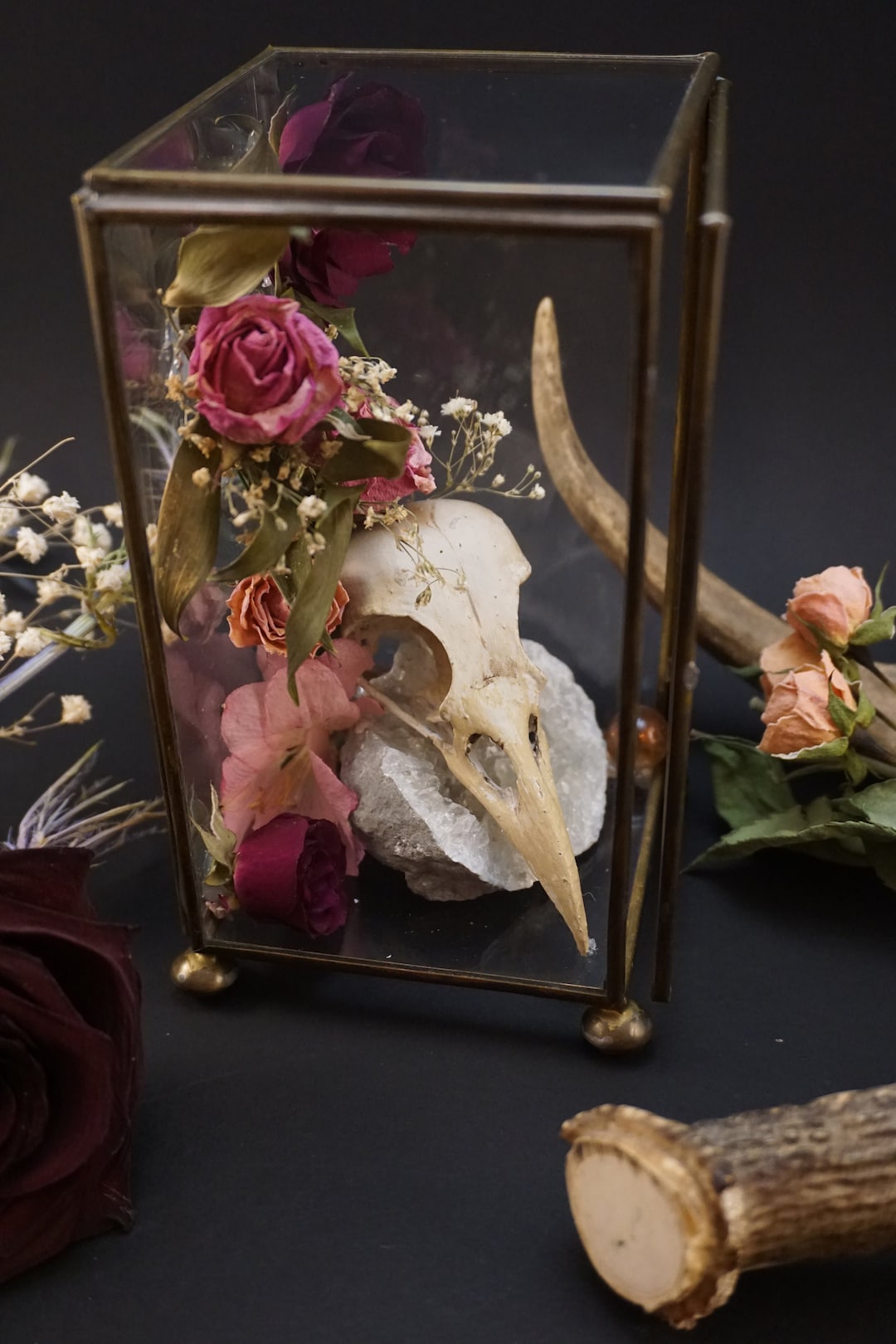 Faux Crow Skull & Dried Florals Box (local Pickup/delivery Only) - Etsy