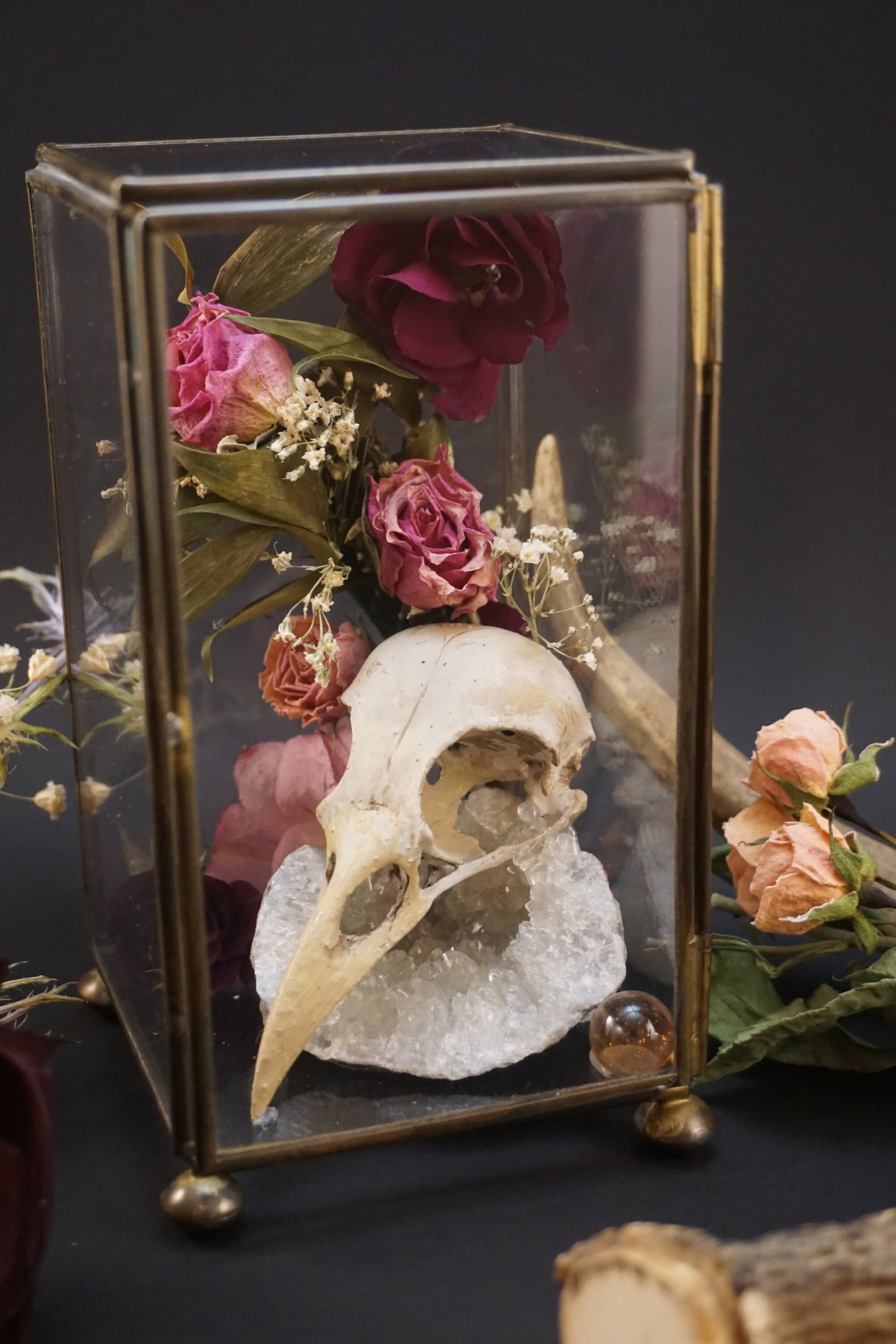 Faux Crow Skull & Dried Florals Box (local Pickup/delivery Only) - Etsy