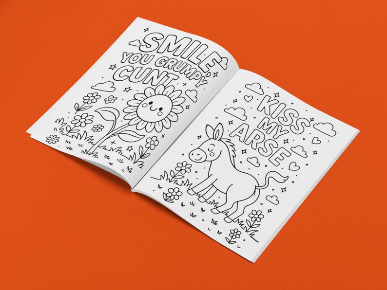 Funny Swear Word Colouring Book | Rude Adult Humor Gift - Etsy UK