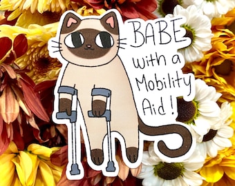 Pretty Girls Walk Like This Rollator Sticker Mobility Aid and ...