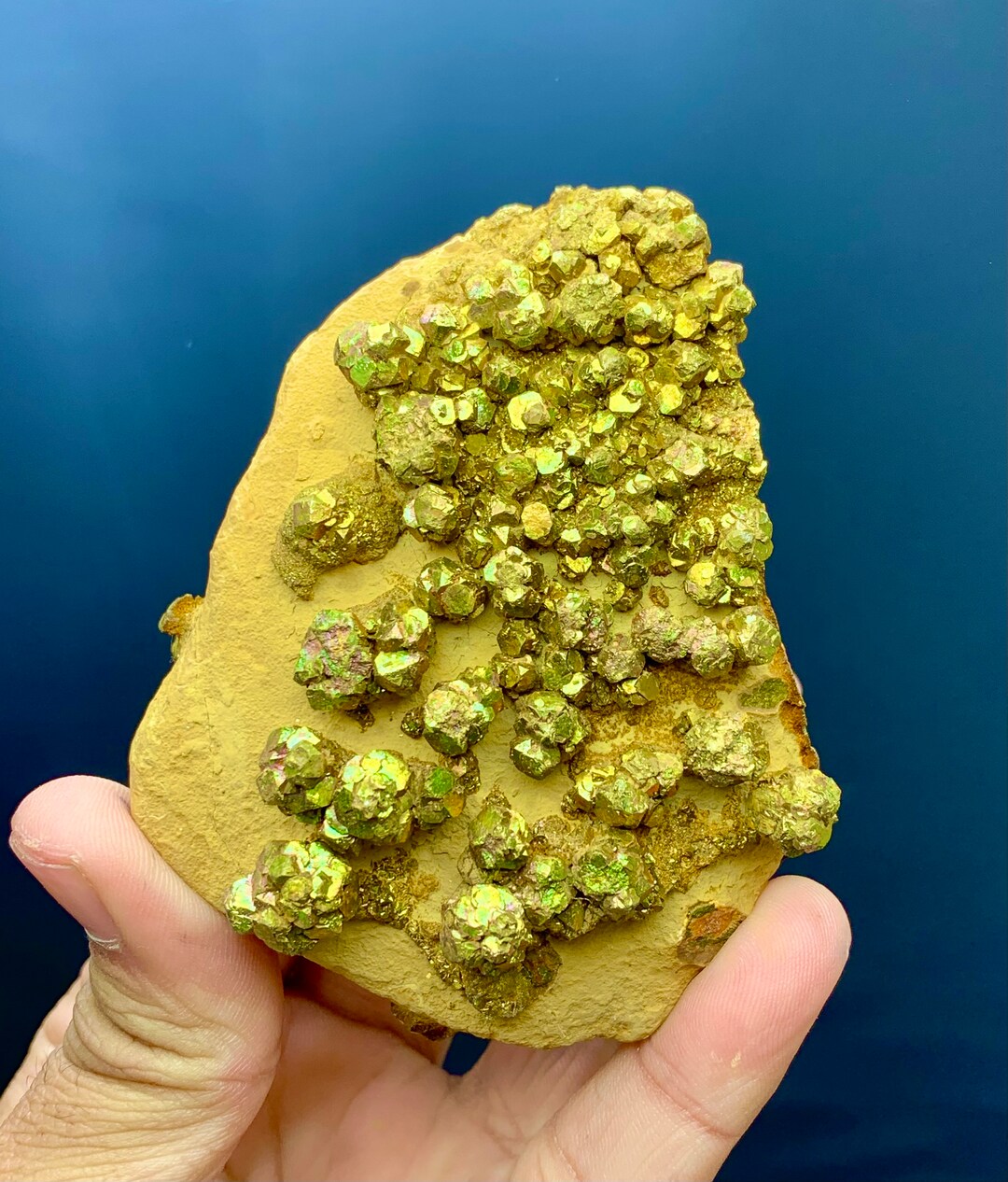 Natural Rainbow Pyrite Crystals on Limonite Matrix ,from Manshera Mine ...