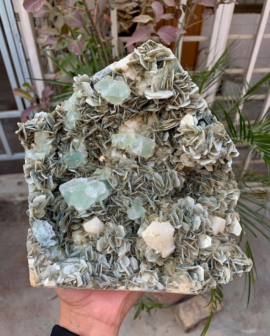 Natural Bi Color Color Fluorite Crystal With Muscovite Mica Crystal ...