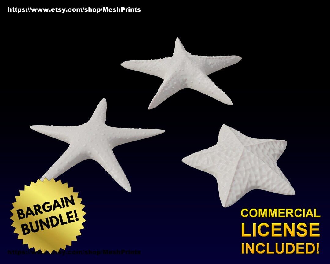 Starfish Set STL Files download - Etsy
