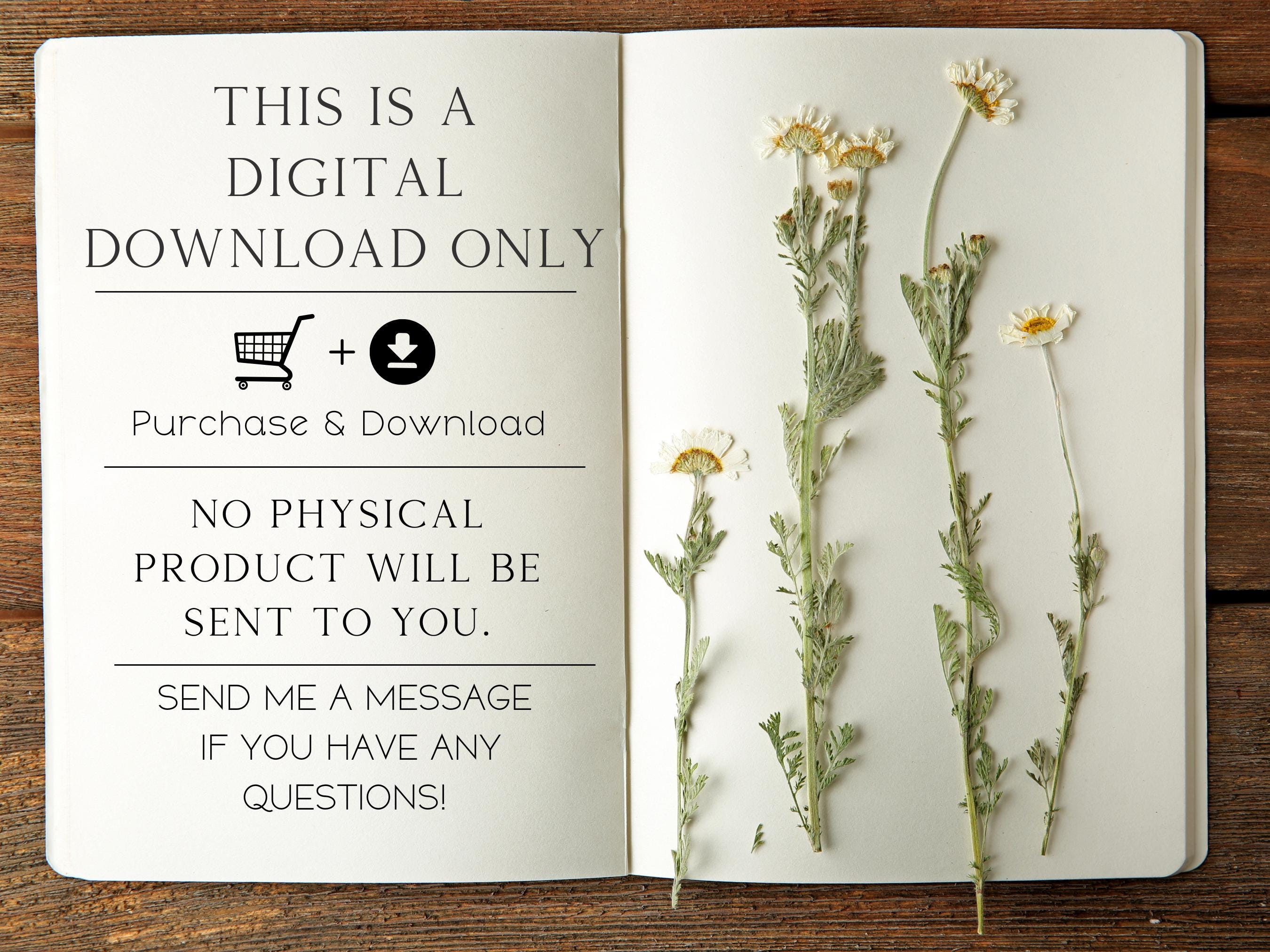 Mini Banner DIY Painted First Day of School Template, Back to School ...