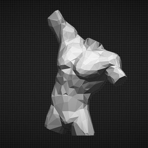 Male Torso Low Poly 3D Print Model Digital File - Etsy
