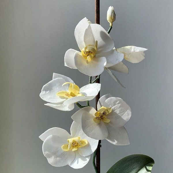 Orchid Cake Topper - Etsy