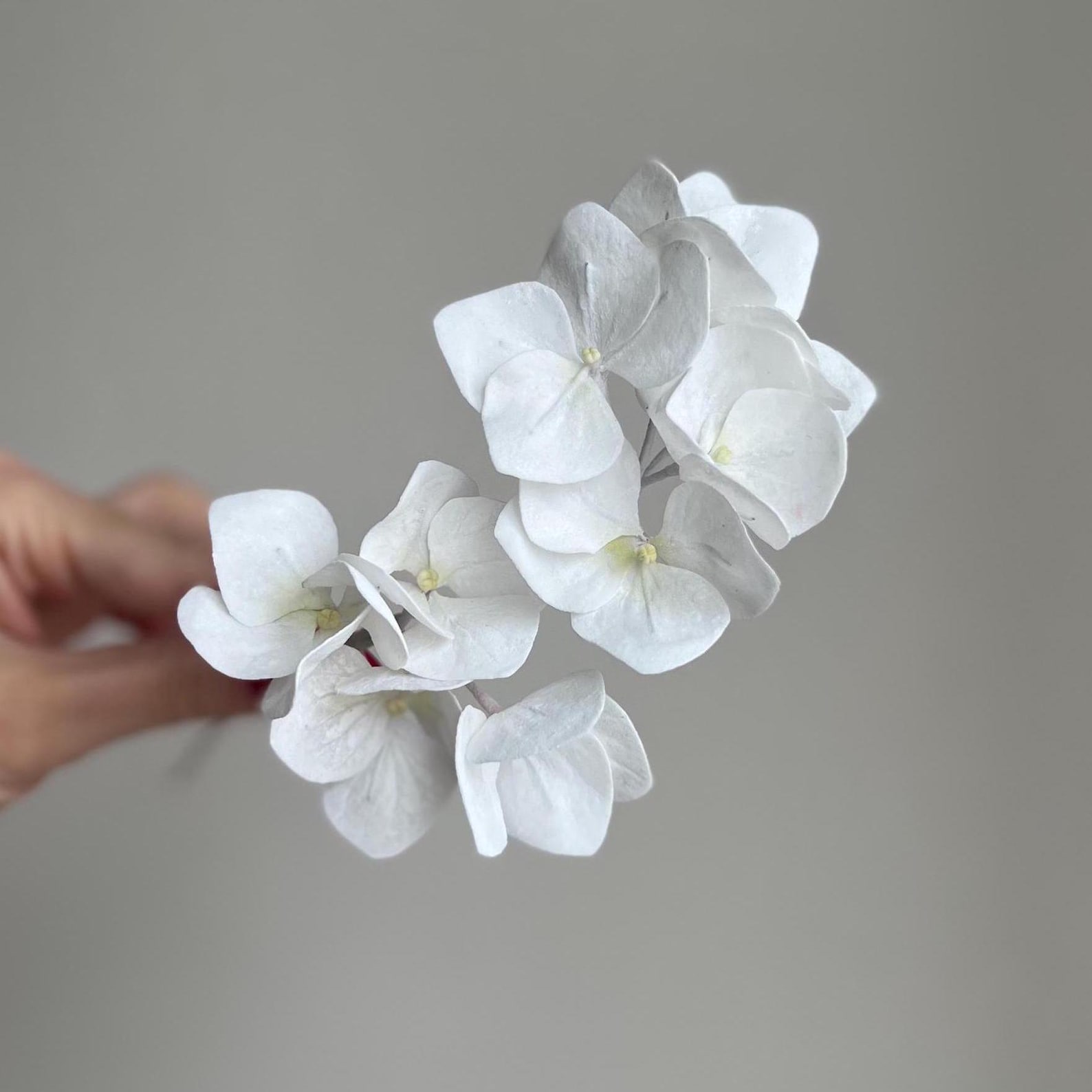 White Wafer Paper Hydrangea, Edible Wedding Cake Flowers, 2 Branches - Etsy