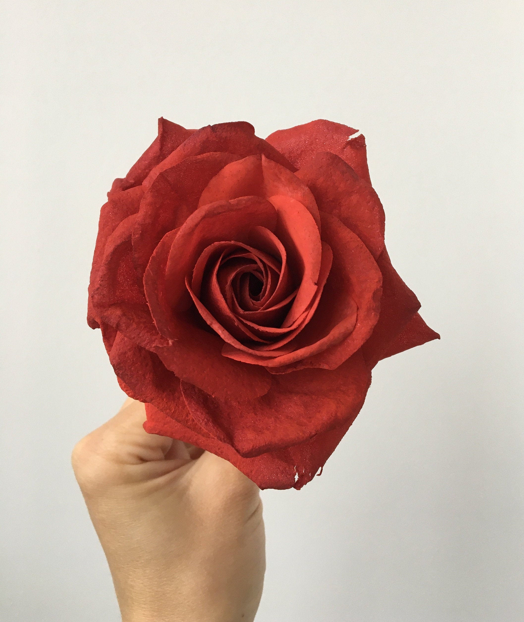 Wafer paper Flower Red Rose for cake decoration edible | Etsy