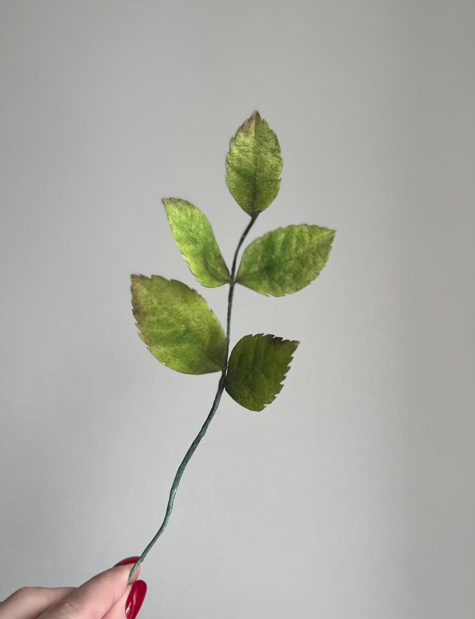 Edible Wafer Paper Leaves: Green Cake Decoration, 3 Branches - Etsy