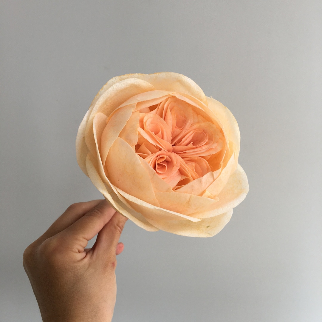 Wafer Paper Austin Rose for Cake Decoration, Wedding Cake Flower ...