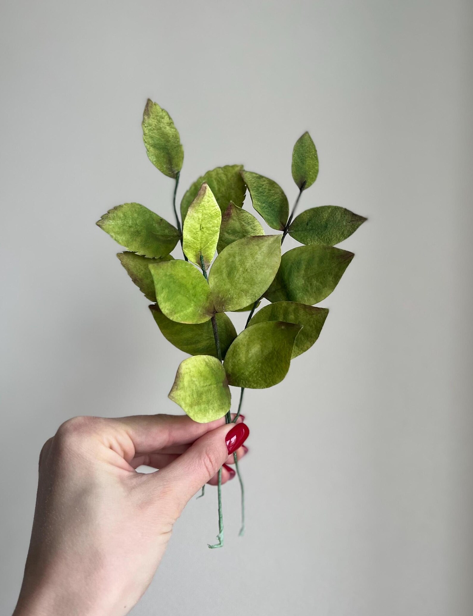Edible Wafer Paper Leaves: Green Cake Decoration, 3 Branches - Etsy