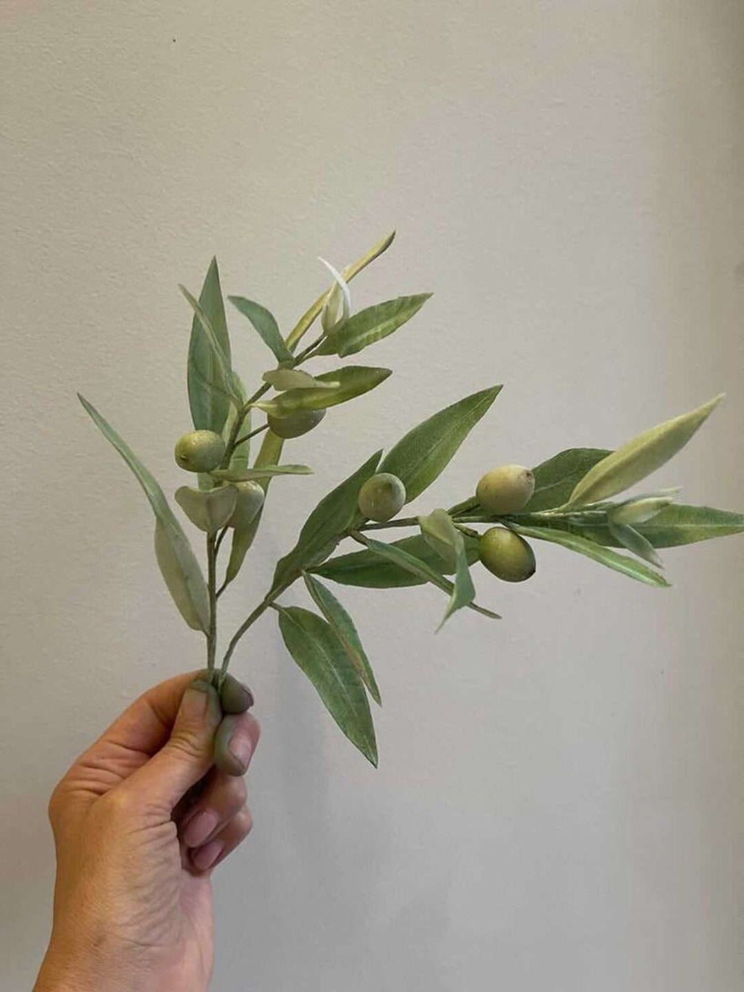 Wafer Paper Green Olives, 2 Olive Branches for Wedding Cake Decoration ...