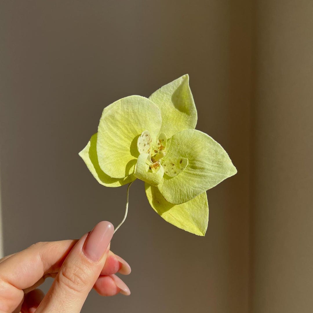 Lime Wafer Paper Orchid: Edible Cake/cupcake Topper - Etsy