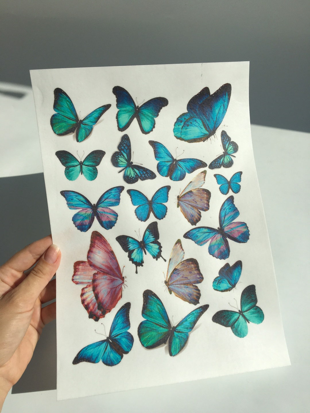 Mix of Blue Wafer Paper Butterflies, 19 Pcs, Edible Cake Topper - Etsy