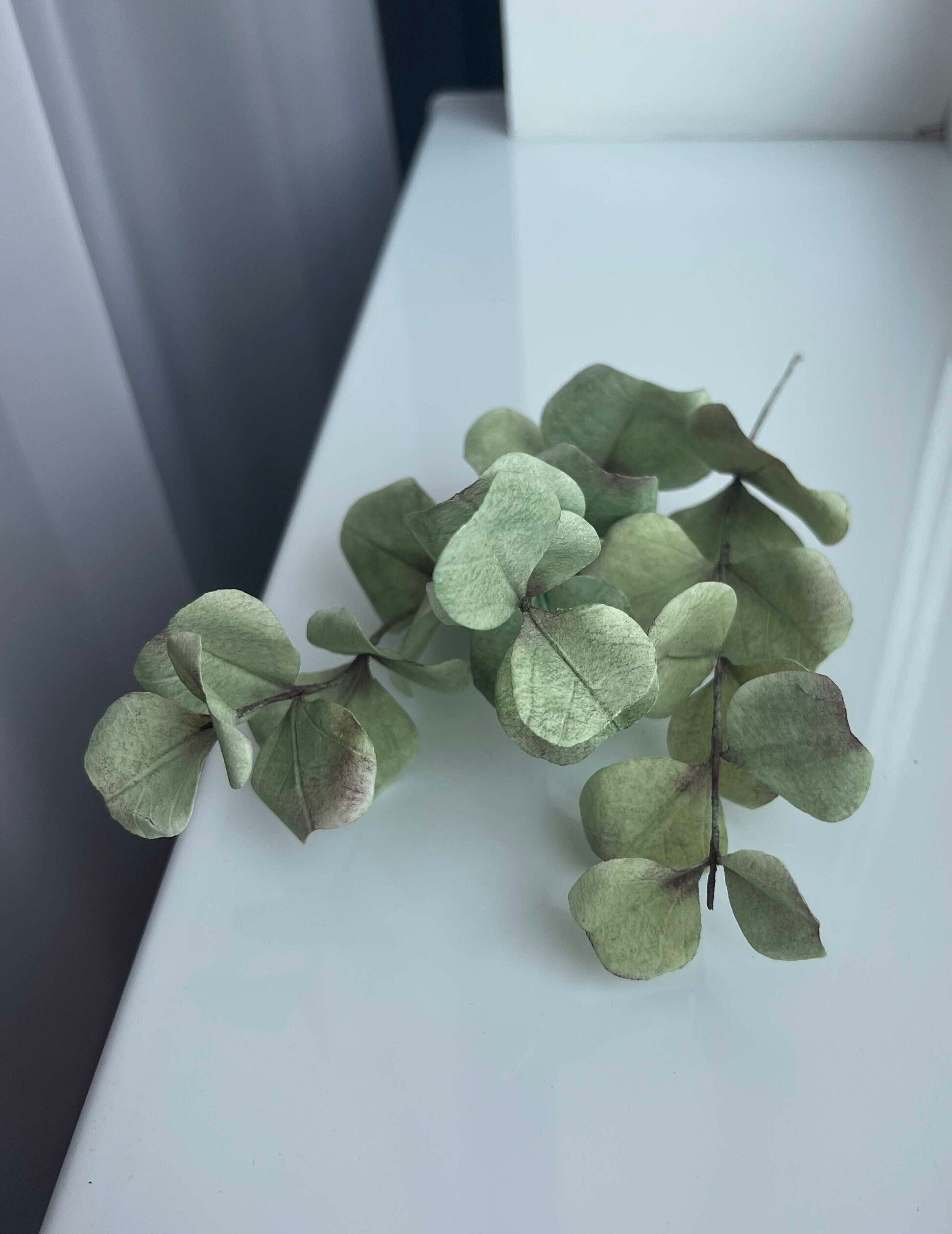 Wafer Paper Eucalyptus Branches: Edible Cake Flowers, Rustic Wedding ...