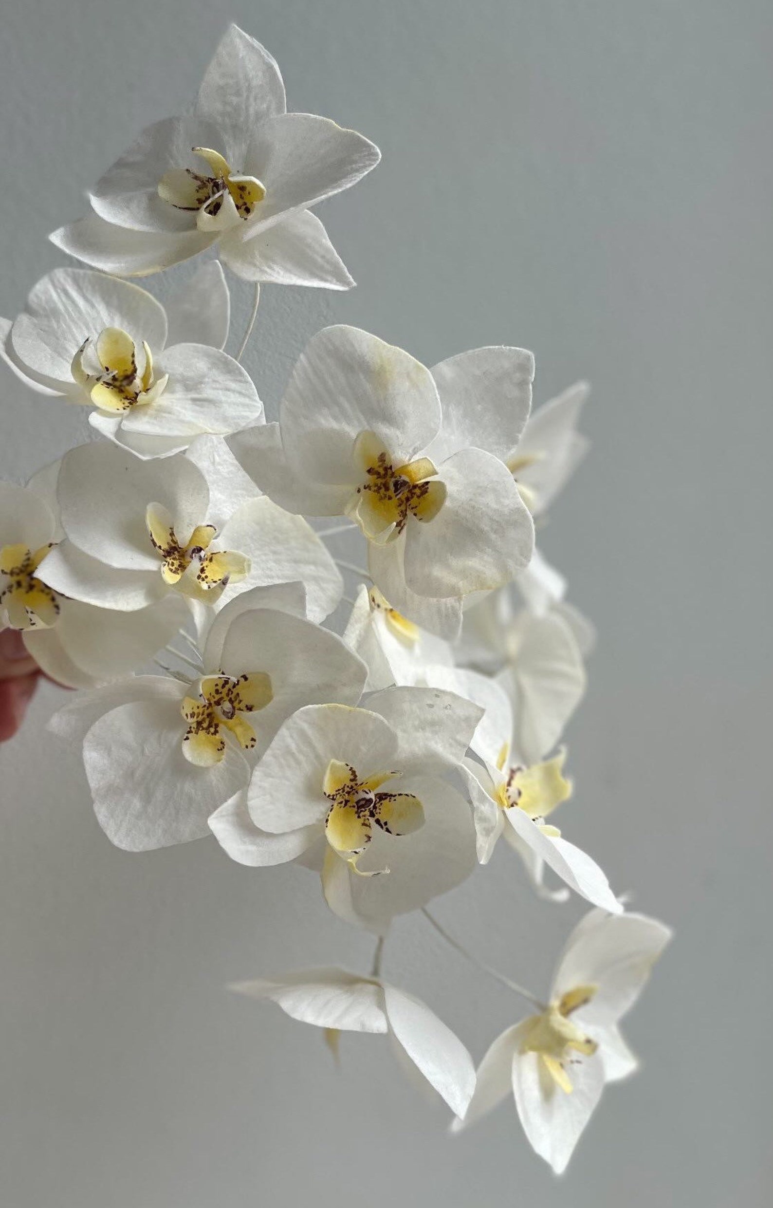 Wafer Paper Orchid: Edible White Flower Cake Topper - Etsy
