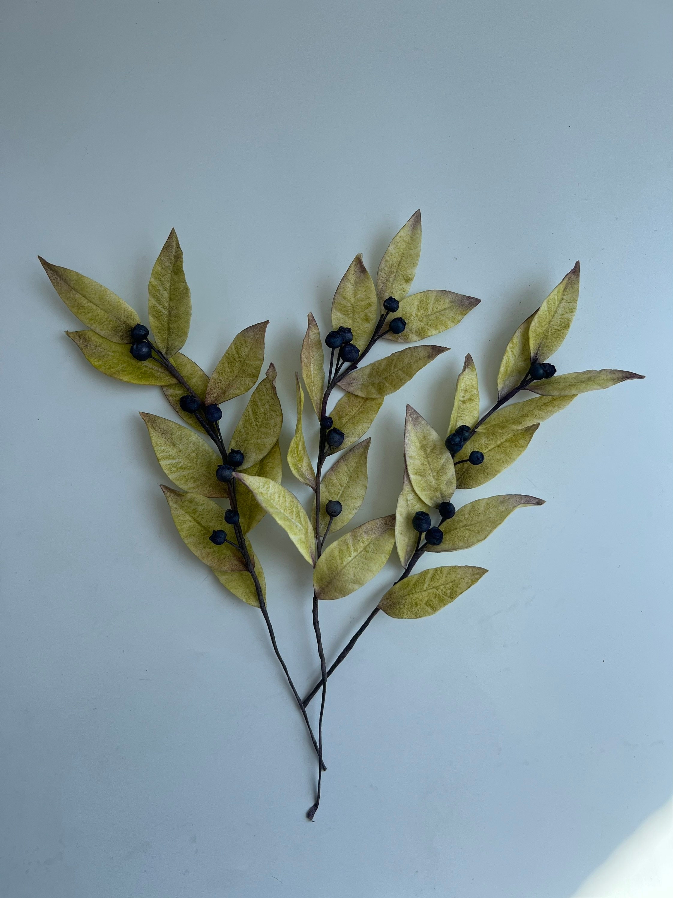 Wafer Paper Blueberry 2 Branches of Blueberry for Cake - Etsy