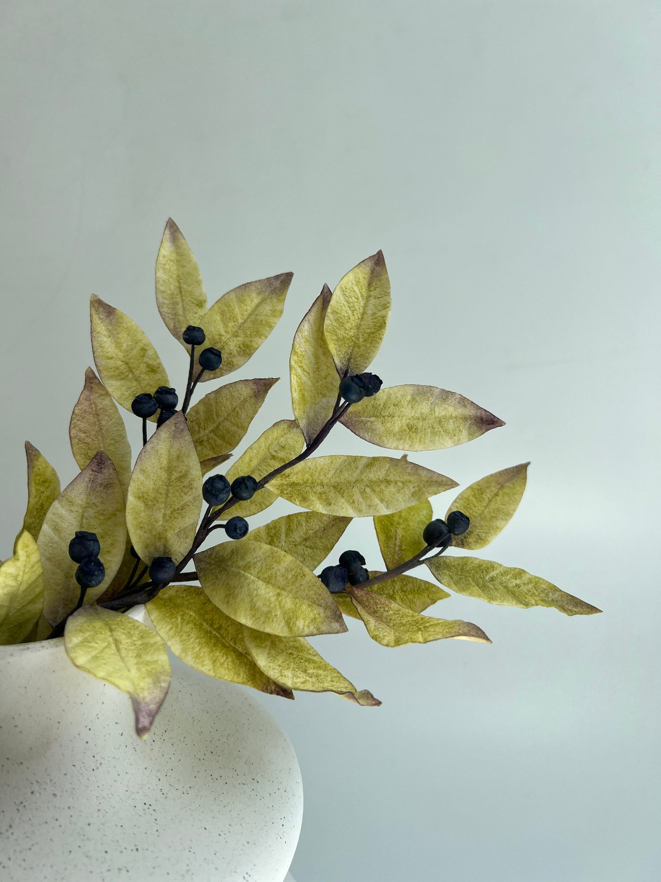 Wafer Paper Blueberry 2 Branches of Blueberry for Cake - Etsy