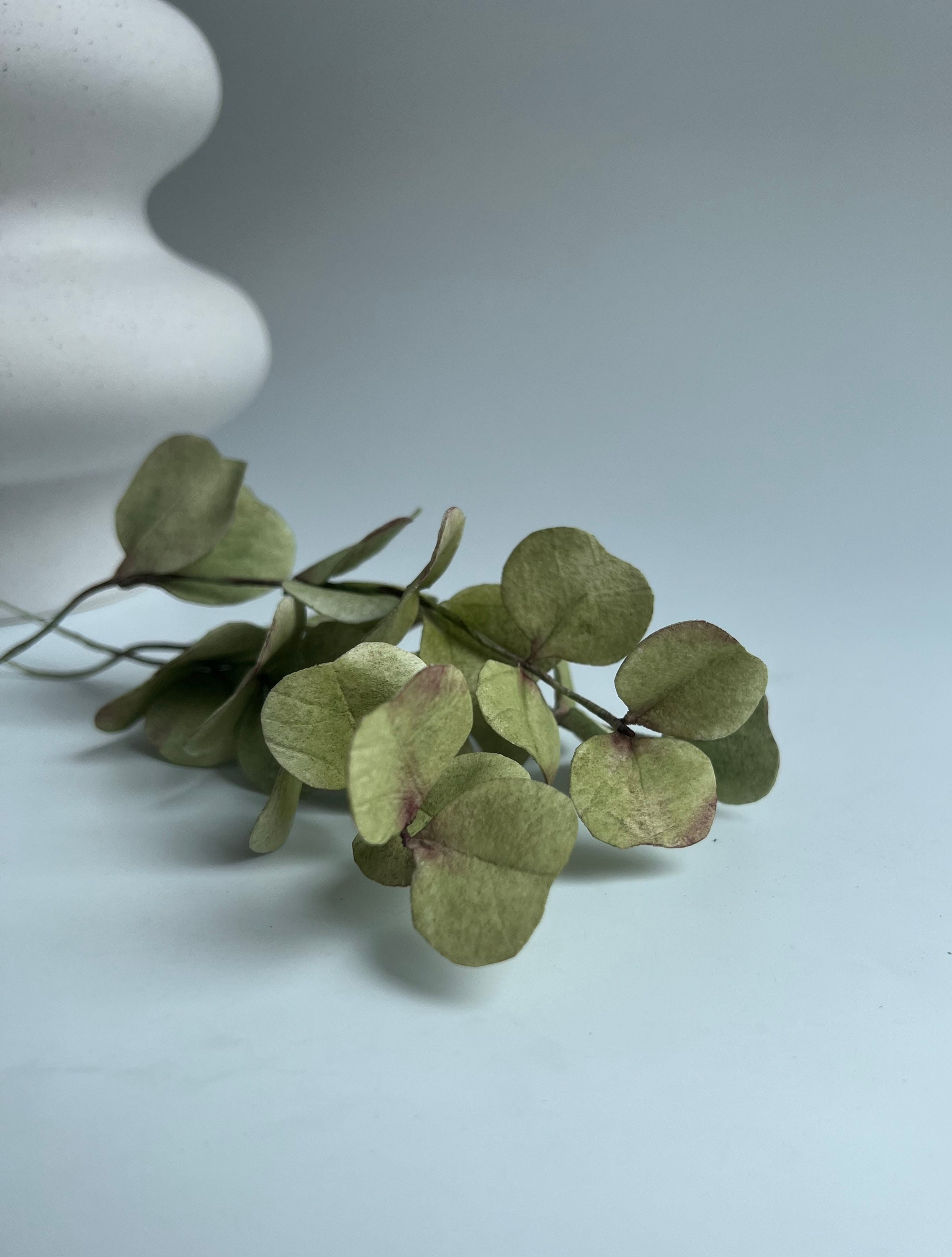 Wafer Paper Eucalyptus Branches: Edible Cake Flowers, Rustic Wedding ...
