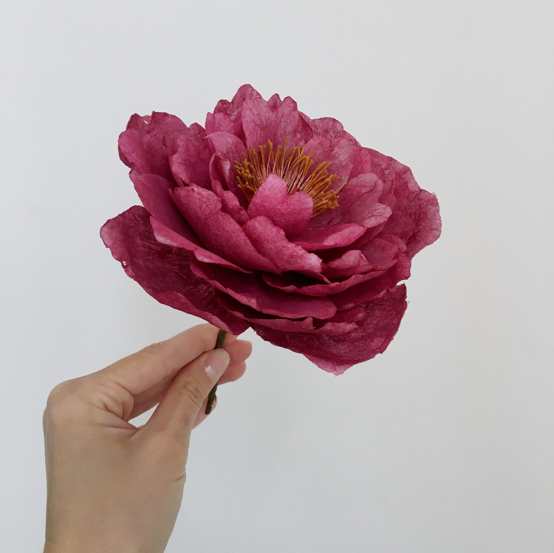 Wafer paper flower Peony in burgundy color for cake | Etsy