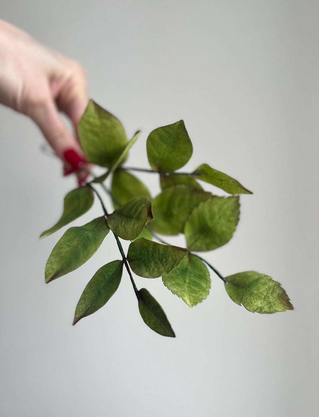 Edible Wafer Paper Leaves: Green Cake Decoration, 3 Branches - Etsy