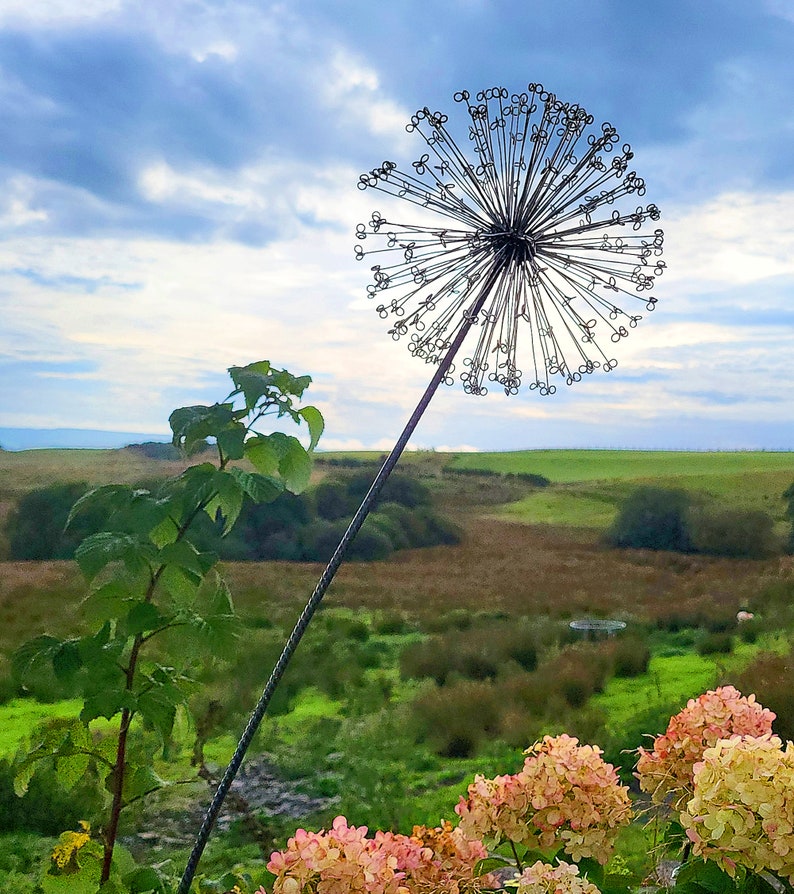 Wire-work Allium Seed Head Garden Ornament - Etsy UK