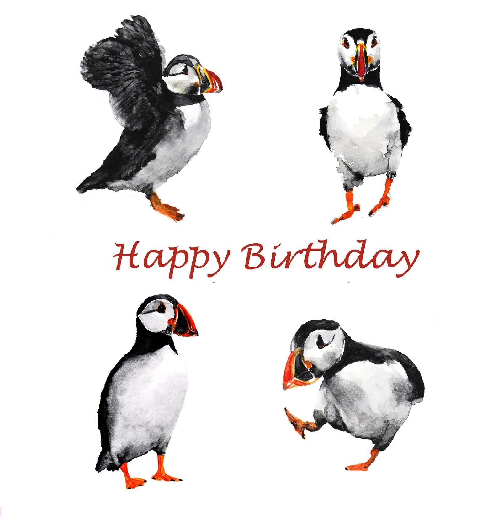 Puffin Birthday Card, Puffins, Bird Birthday Card, Personalise Message ...