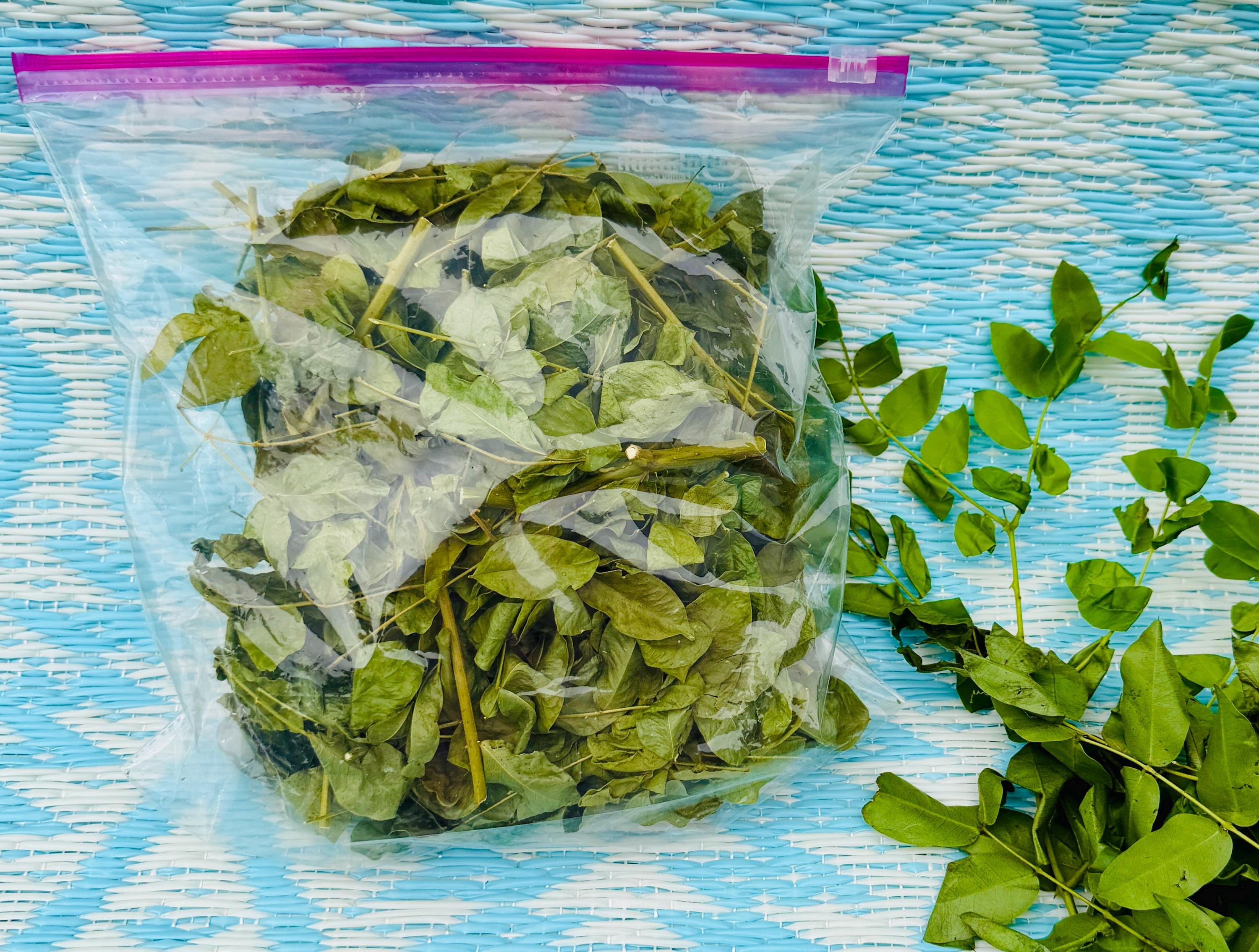 Curse Removing Herb QUITA MALDICION DRIED Spiritual Cleansing Herbs ...