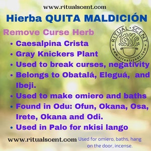 Quita Maldicion - Curse Removing Herb - Spiritual Cleansing Herbs ...
