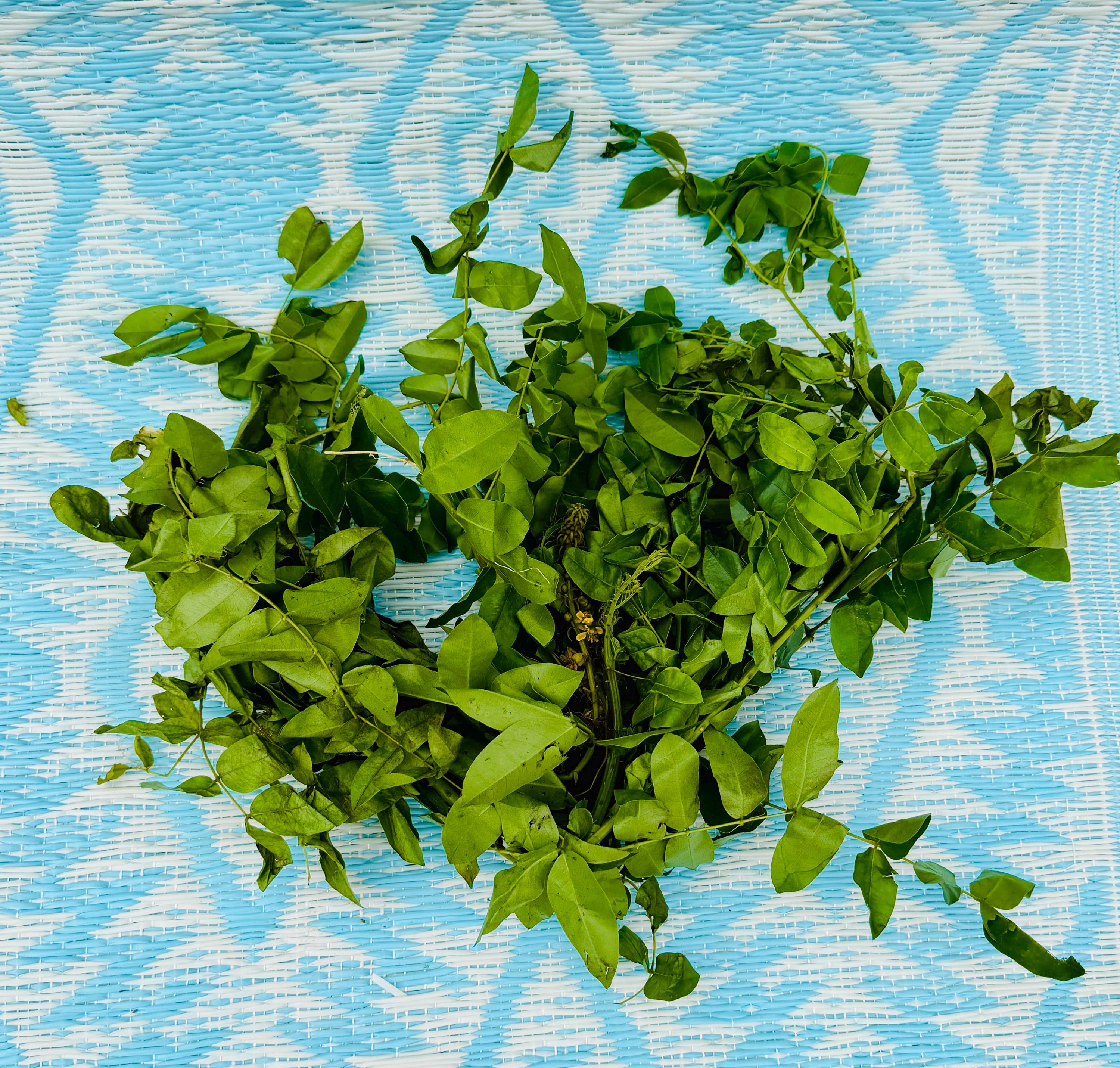 Curse Removing Herb QUITA MALDICION DRIED Spiritual Cleansing Herbs ...
