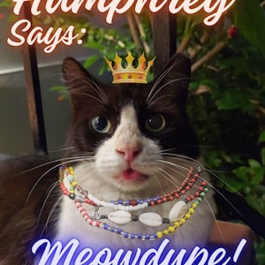 Oddua Tools Herramientas Oduduwa Ifa Orisha Obatala Orisa Funfun ...